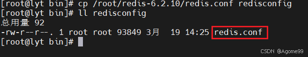 Linux下安装Redis(超详细)_linux安装redis-CSDN博客