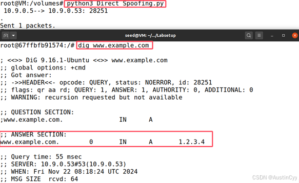 【Seed-Labs 2.0】Local DNS Attack Lab-CSDN博客