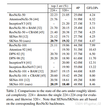 SKNet：Selective Kernel Networks——选择性核网络-CSDN博客