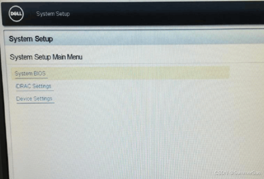 DELL EMC PowerEdge R730服务器设置从U盘启动方法_dellr730设置u盘启动-CSDN博客