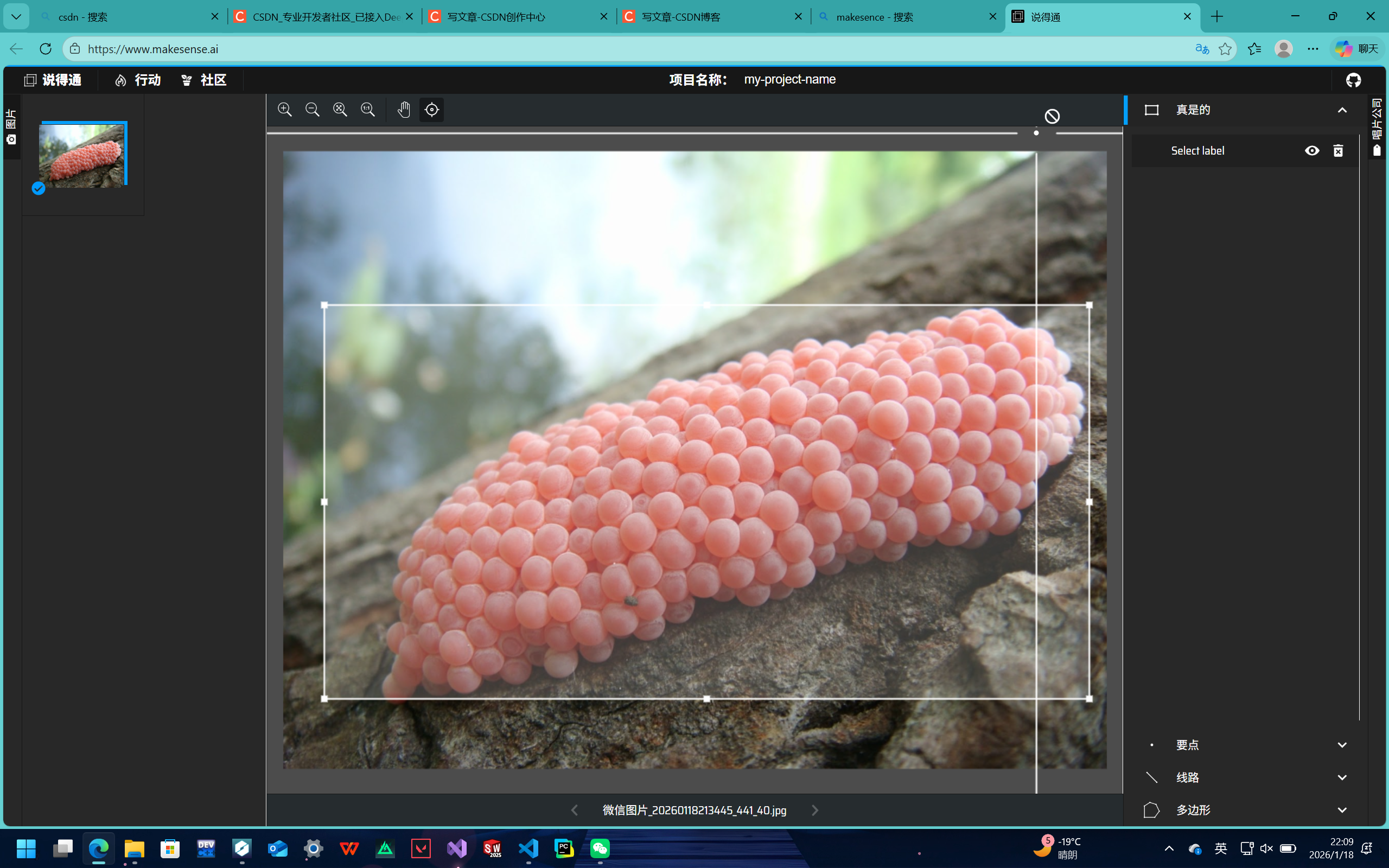 csdn_export_md-CSDN博客