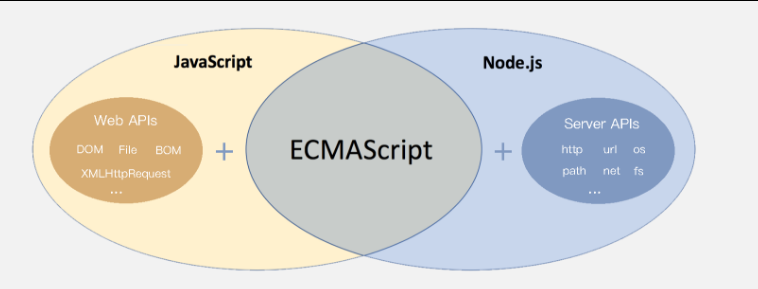 JavaScript-Web APIs-DOM_console.dir() 方法-CSDN博客