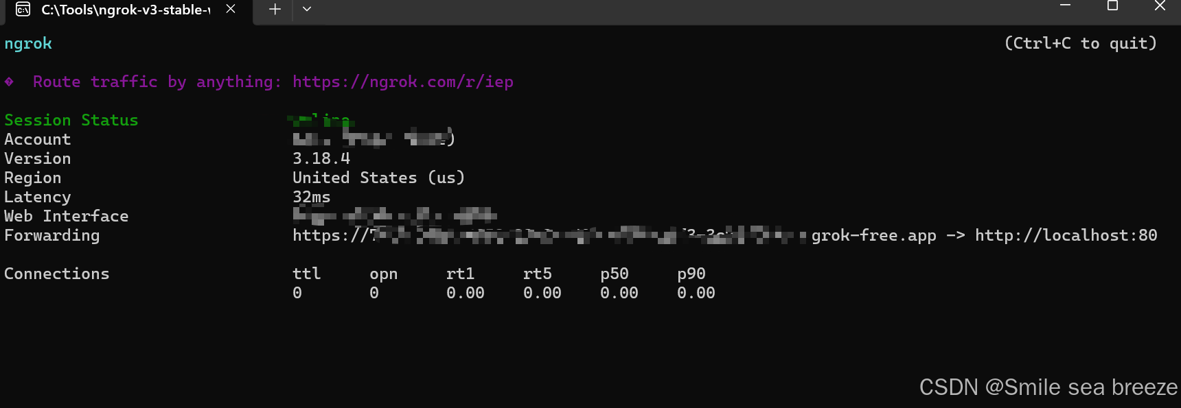 Ngrok下载安装详细教程-CSDN博客