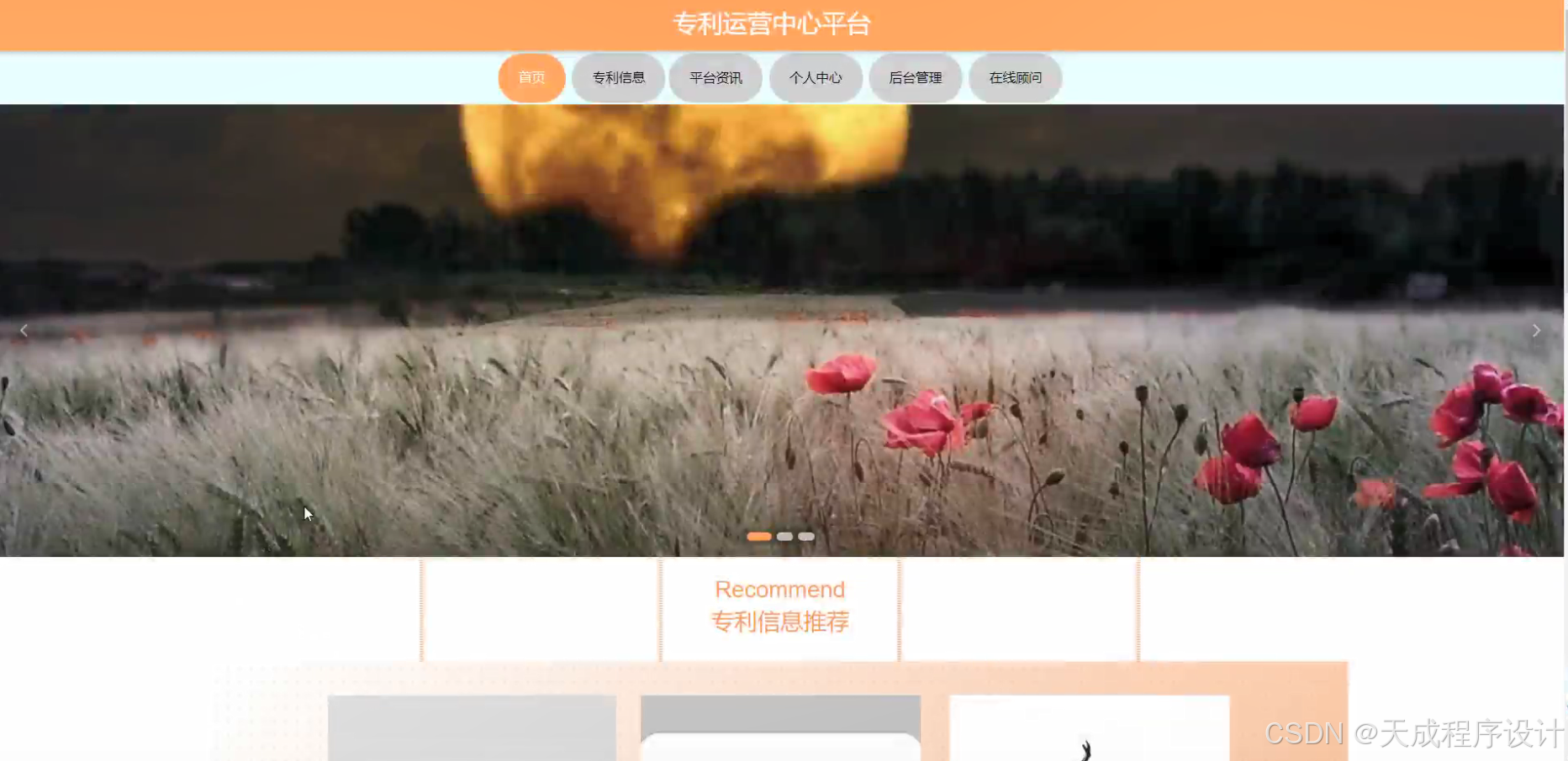 Java计算机毕业设计专利运营中心平台（开题程序论文）专利管理系统java设计 Csdn博客