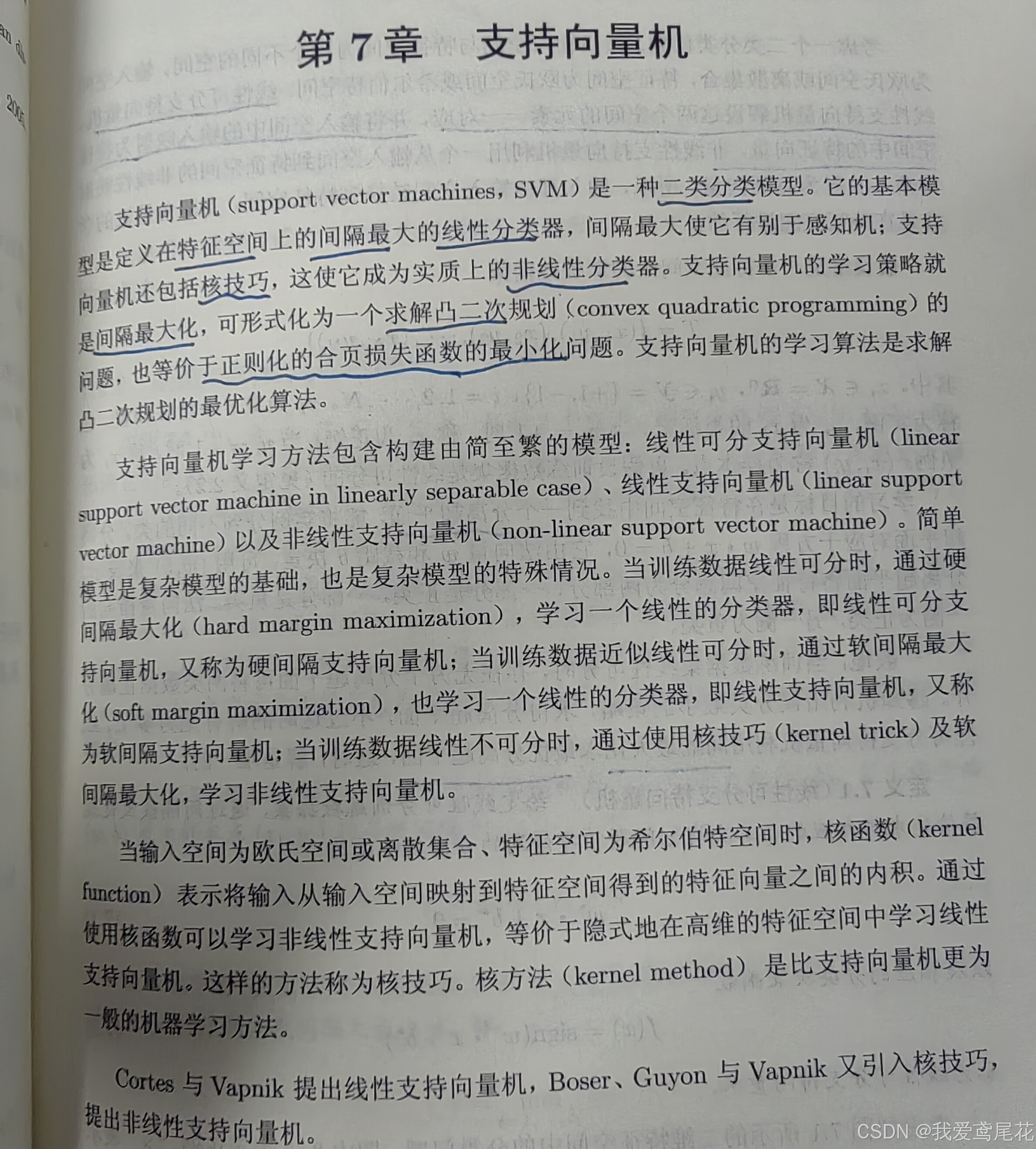 python实现SVM决策边界可视化、不同核方法及超参调优、模型性能评估和SHAP可解释性案例。_shap svm-CSDN博客