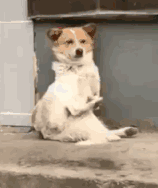 什么是isNaN-CSDN博客