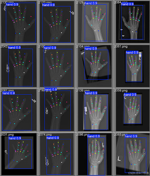 Yolo11 Pose关键点检测:训练实战篇 自己数据集从labelme标注到生成yolo格式的关键点数据以及训练教程(一)yolov11 Pose Csdn博客
