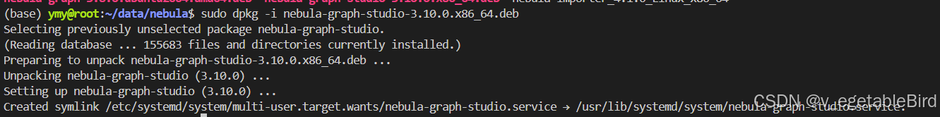 NebulaGraph图数据库从安装到导入全配置教程_nebula-storaged after v3.0.0 will not start servic-CSDN博客