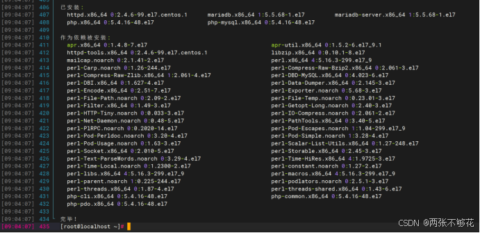 LAMP环境下搭建Wordpress（最简单最详细）_基于lamp搭建wordpress-CSDN博客