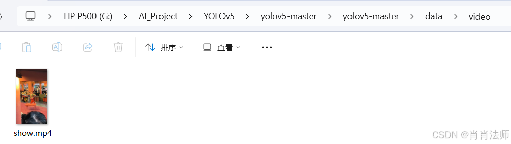 GitHub YOLOv5 开源代码项目手把手调试，运行出结果_yolov5 github-CSDN博客