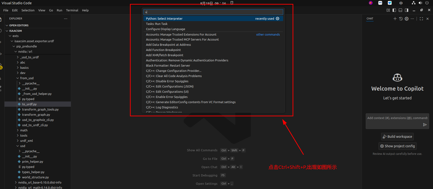 最新版本！Isaacsim 5.0+Isaaclab 安装必读+免踩坑指南，超详细安装步骤_issacsim5.0-CSDN博客
