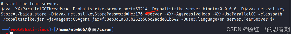 魔改CS—流量特征消除&暗桩去除&个性化修改&Stager修改_cs魔改-CSDN博客