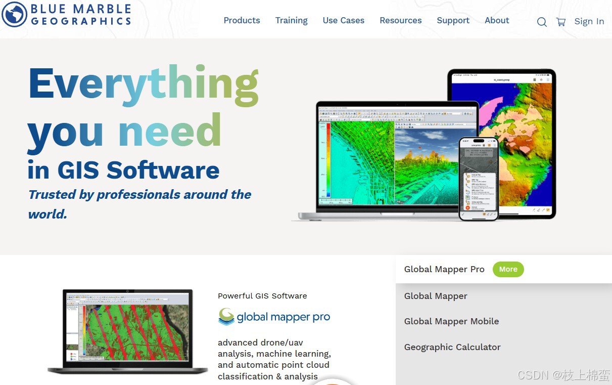 数字孪生VS传统测绘：GISBox与Global Mapper三维GIS软件选型指南-CSDN博客