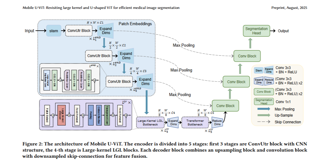 论文29：Mobile U-ViT: Revisiting large kernel and U-shaped ViT forefficient medical image ...