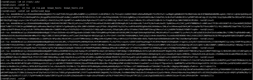 ubuntu使用remmina软件进行ssh免密登录_ubuntu remmina-CSDN博客