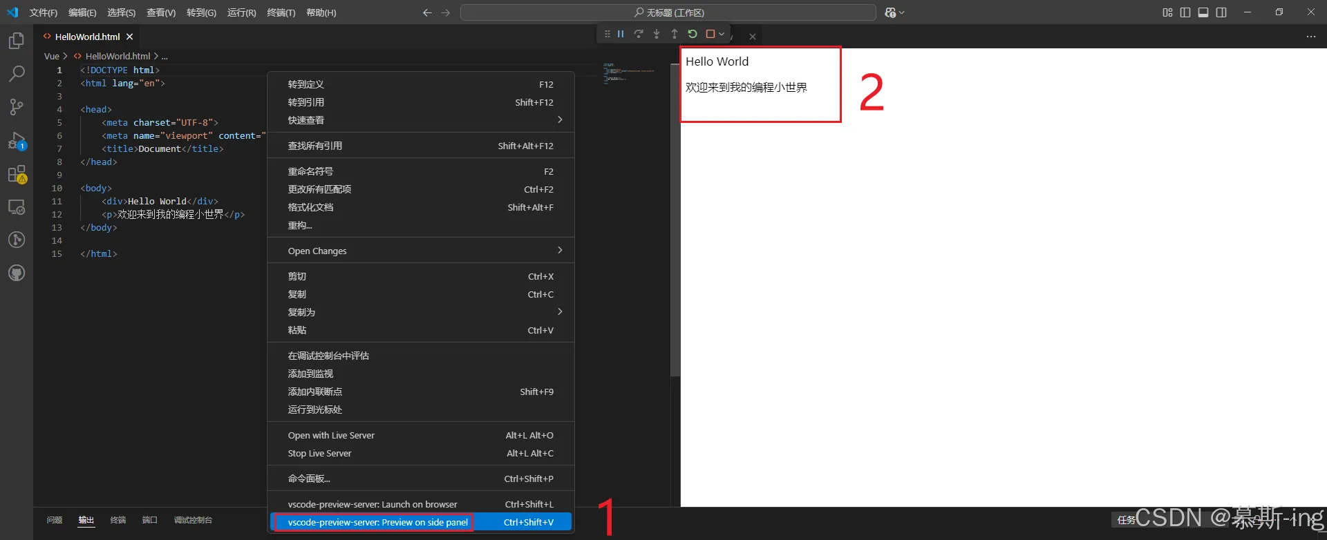 VSCode插件preview on Web Server_vscode-preview-server使用-CSDN博客