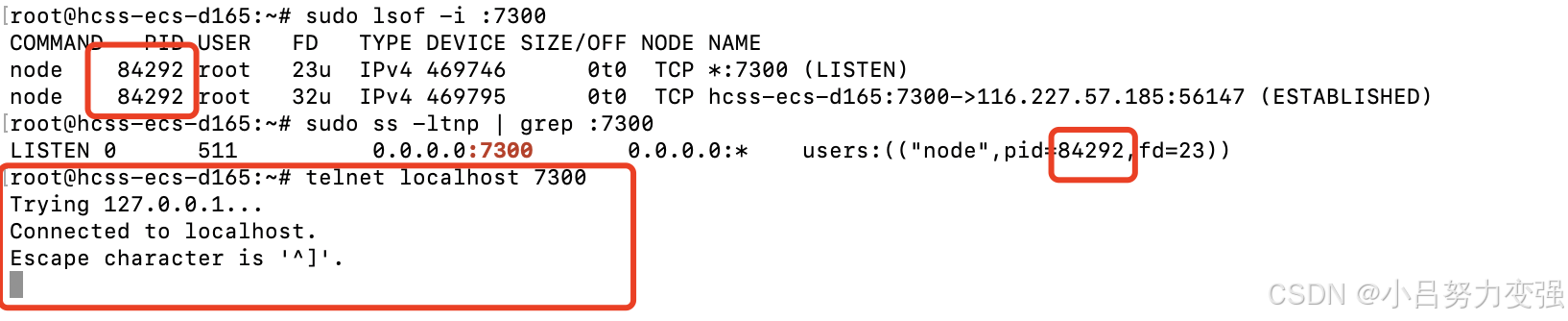 linux服务器如何看运行的java程序有哪些（ps、jps、top、lsof、netstat、ss命令等）_查看java进程-CSDN博客