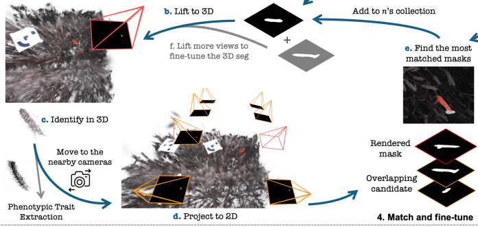 CVPR 2025 Vision for Agriculture Workshop｜Wheat3DGS：利用高斯点阵进行田间小麦麦穗的3D重建、实例分割和表型分析_小麦表型三维重建-CSDN博客