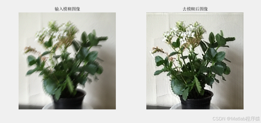 基于 MATLAB 的交叉偏导数（CPD）约束盲图像去模糊系统实现与分析——输出去模糊前后对比图像及模糊核分布。-CSDN博客