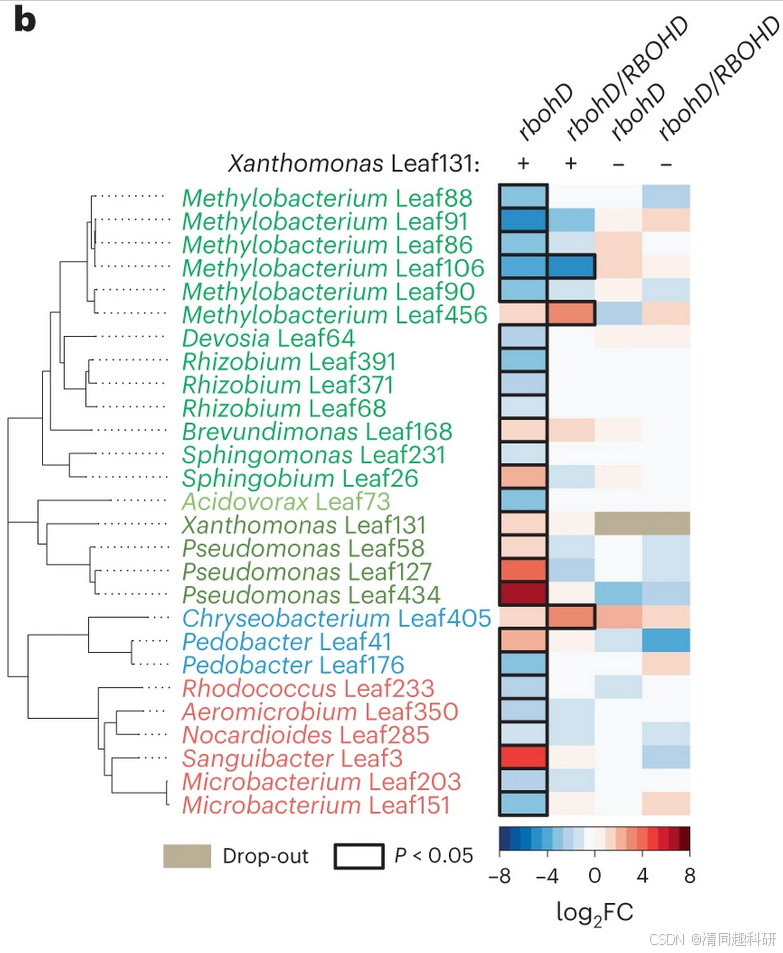 R绘图|跟随nature系列文章学绘图——R包pheatmap绘图基础和进阶-CSDN博客