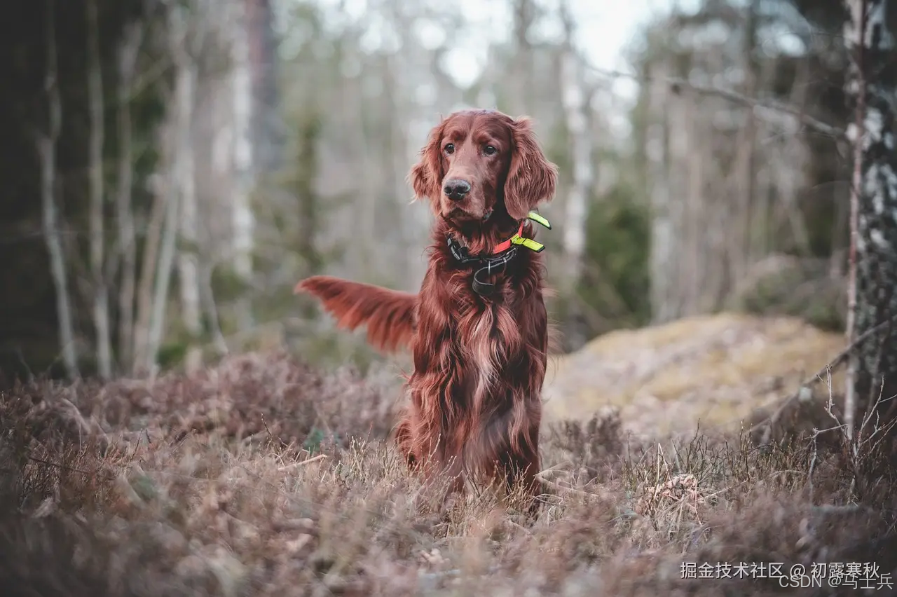 从头通过dockerfile制作镜像与运行centos8-ssh_dockerfile centos8-CSDN博客