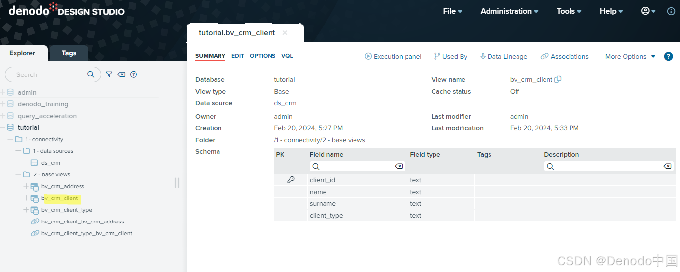【初阶】手把手教你轻松上手Denodo | 连接数据库并创建基本视图 （二）-CSDN博客