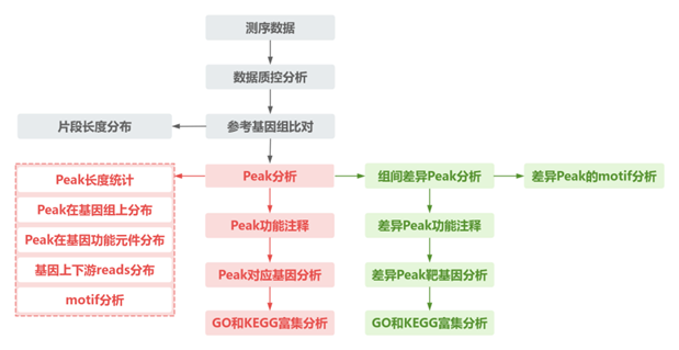一文速览 CUT&Tag 技术！_cut-tag-CSDN博客