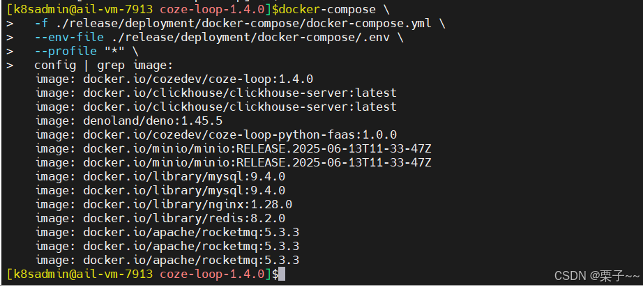 linux 部署安装 扣子轮盘 coze loop v1.4-CSDN博客