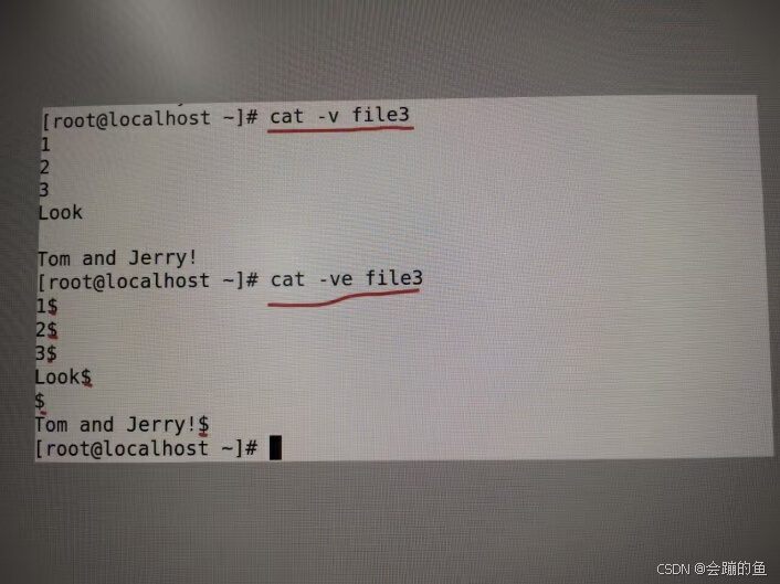 Linux实验day03- 文件读取命令cat、tac、more、less、head和tail的常规使用方法和常见选项、grep查找文件内容及其常见选项、 文件和目录的基本操作命令等_cat ...