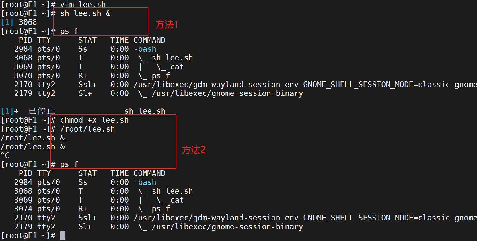 Shell脚本阶段----1.Shell脚本基础！！！！-CSDN博客