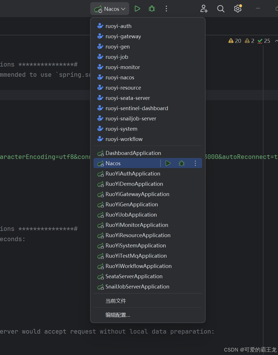RuoYi-Cloud-Plus-2.X无废话，快速配置启动_ruoyi cloud plus-CSDN博客