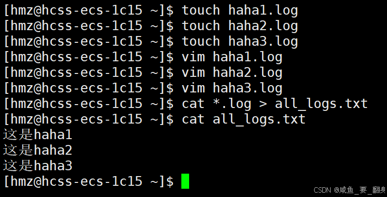 Linux基本命令篇 —— cat命令_linux cat-CSDN博客