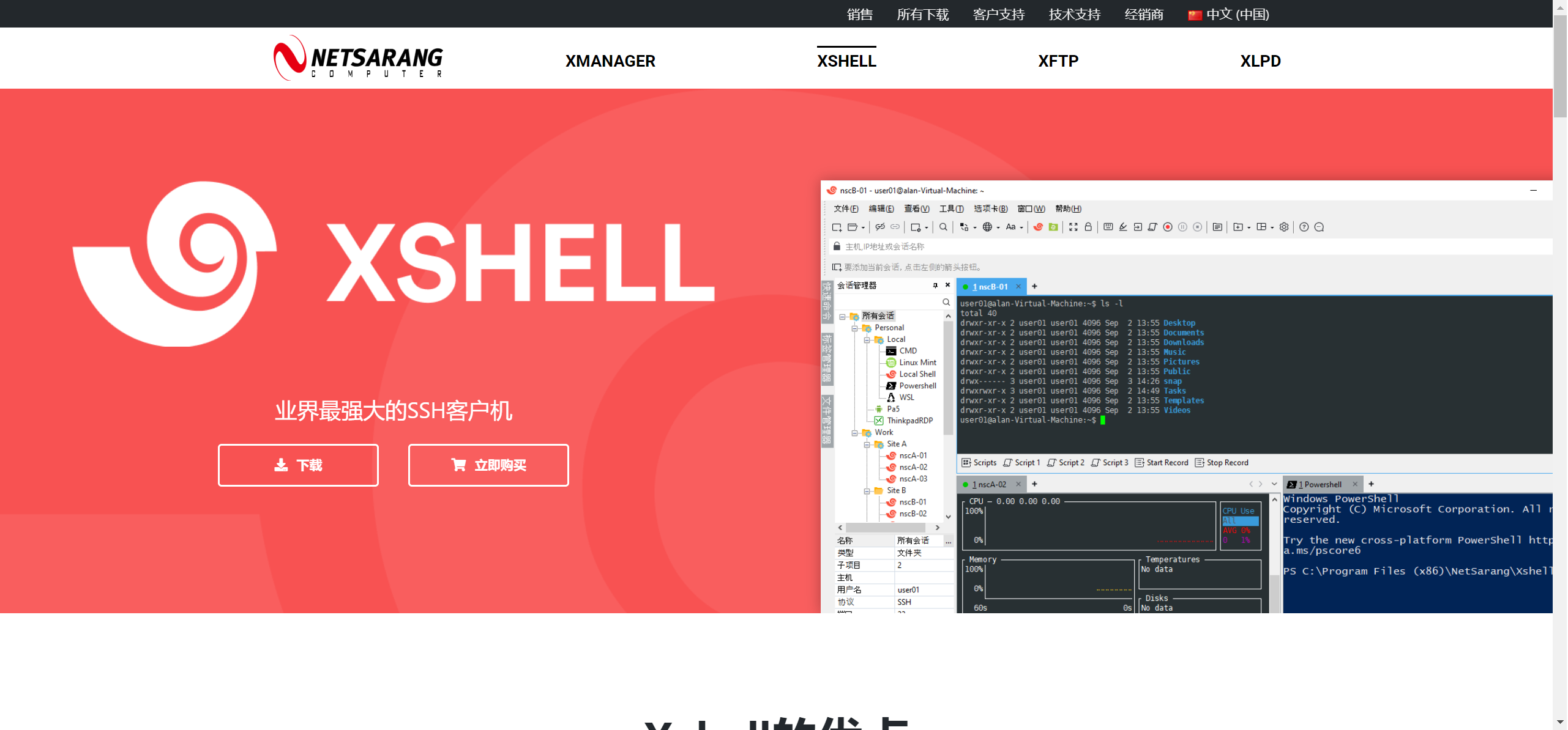 Linux系统学习01——shell编程的基础语法-CSDN博客