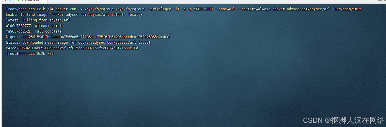 arl安装docker_adysec arl 初始密码-CSDN博客