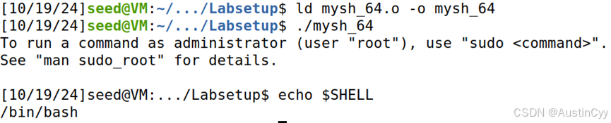 【Seed-Labs 2.0】Shellcode Development Lab-CSDN博客