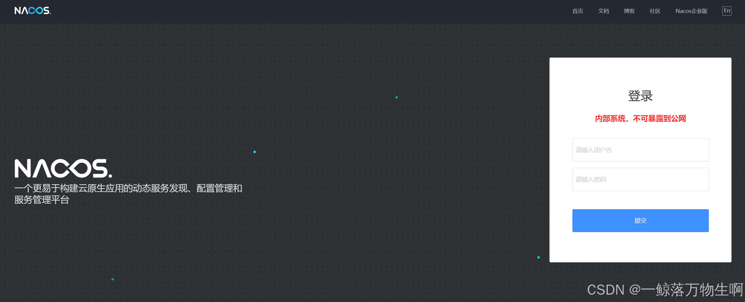 Docker容器中Nacos安装、配置_docker pull nacos-CSDN博客