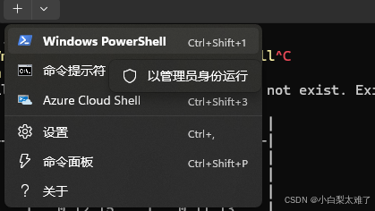 因为在此系统上禁止运行脚本。有关详细信息_npm.ps1,因为在此系统上禁止运行脚本。有关详细信息-CSDN博客