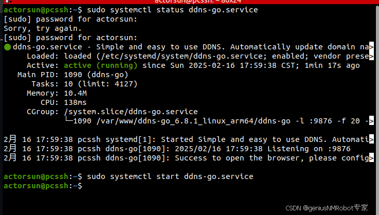 ubuntu设置ddns-go开机启动_ddnsgo开机启动-CSDN博客