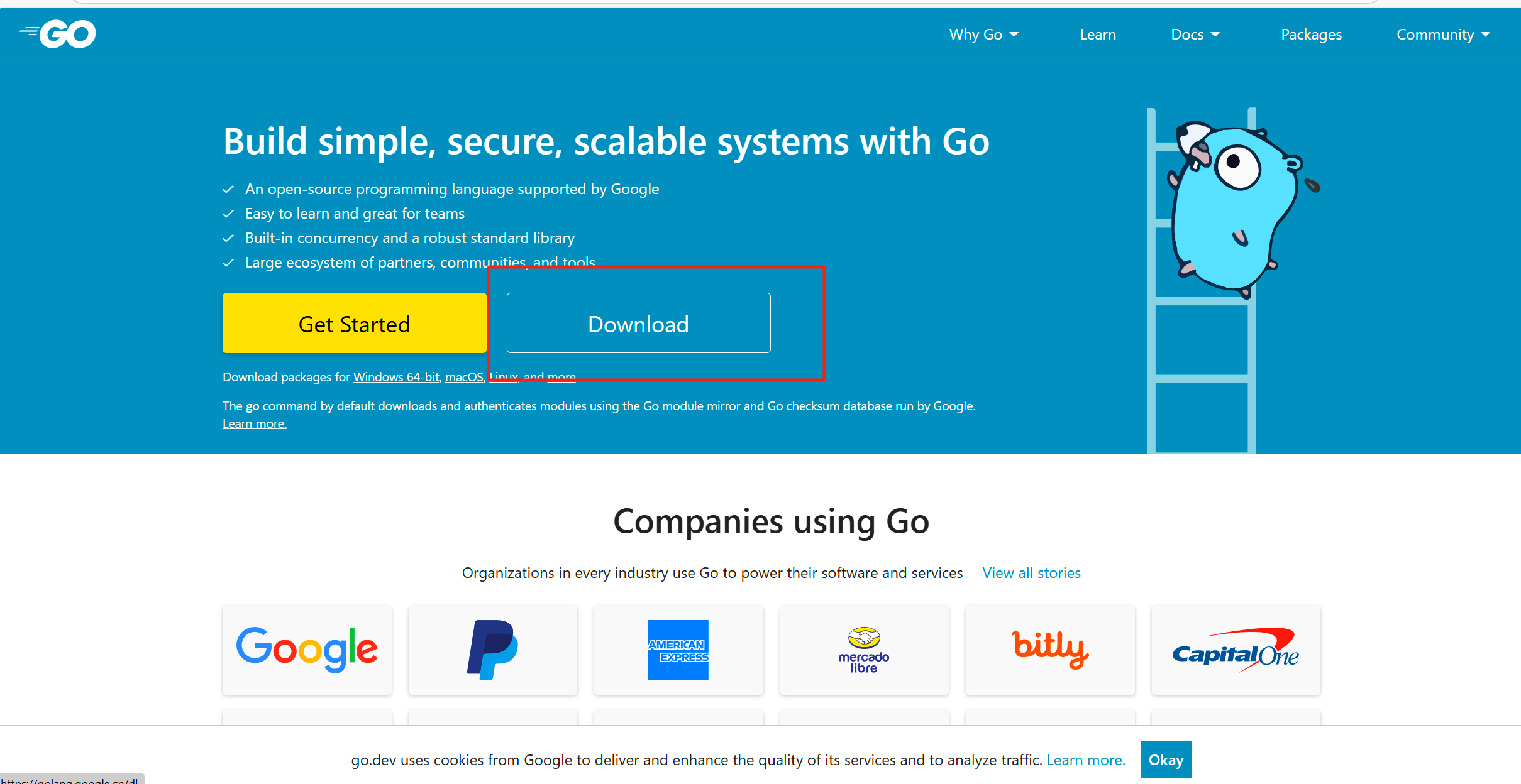 超详细的Windows系统下的Golang环境配置教程_golang环境配置 windows-CSDN博客