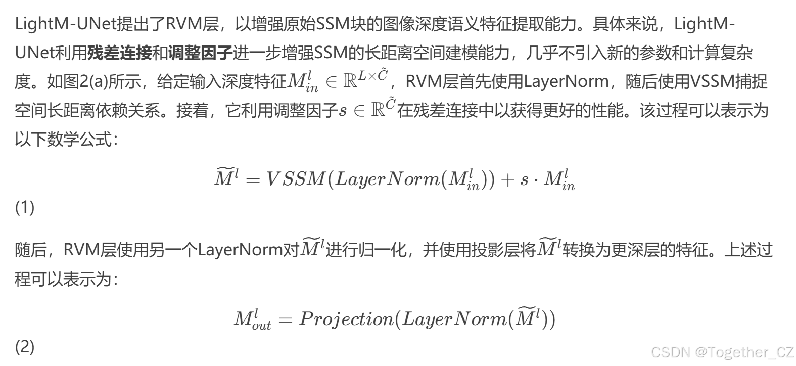 LightM-UNet: Mamba Assists in LightweightUNet for Medical Image ...