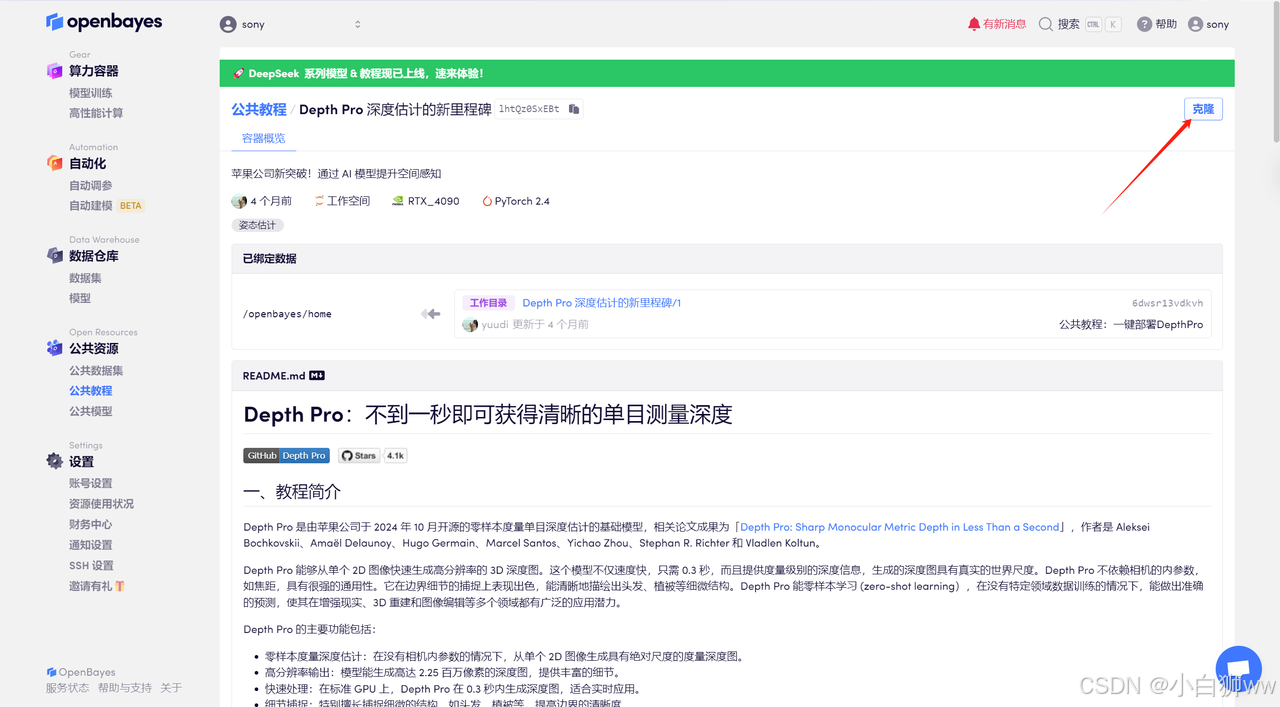 苹果开源高效率模型 Depth Pro， 1s 实现高精度单目深度测量_depthpro 硬件配置-CSDN博客