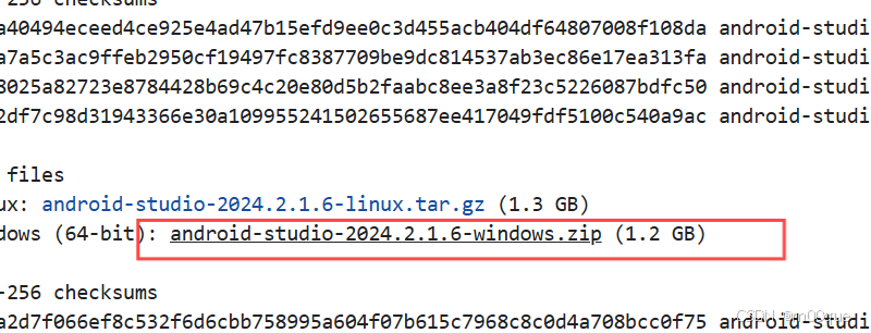 android studio 安装_android studio jdk17-CSDN博客