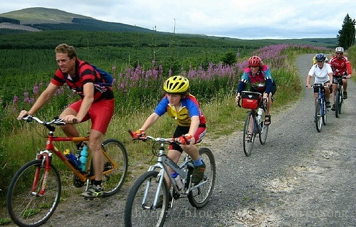 选择性搜索（Selective Search）原理与实现详解-CSDN博客