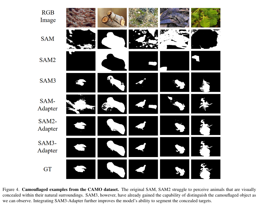图像分割：Segment Anything (SAM)_sam3-adapter-CSDN博客