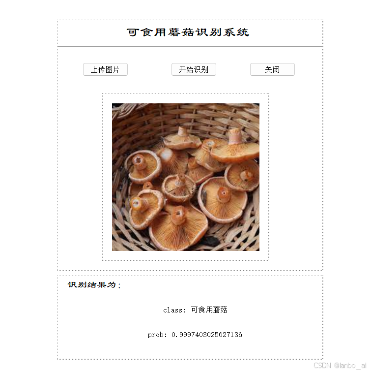 基于卷积神经网络的可食用蘑菇识别系统,resnet50,inceptionv3模型【pytorch框架python源码】 Csdn博客