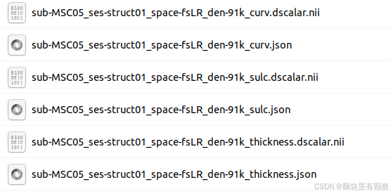 关于fMRIPrep的CIFTI-CSDN博客