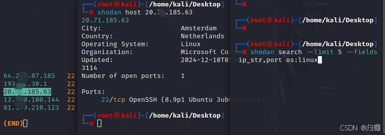 shodan笔记【全】_shodan语法-CSDN博客