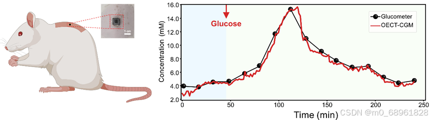 精准测糖：OECT - CGM 系统-CSDN博客