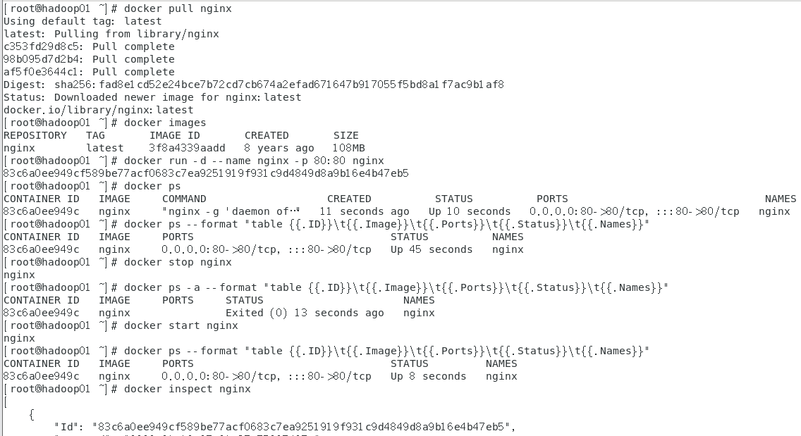 【Linux】Docker 快速入门-CSDN博客