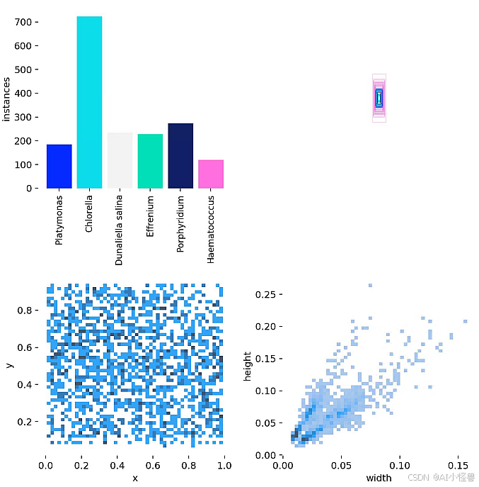 基于YOLO11的微藻细胞检测系统（Python源码+数据集+Pyside6界面）_长尾分布下的微藻显微图像轻量级目标检测-CSDN博客
